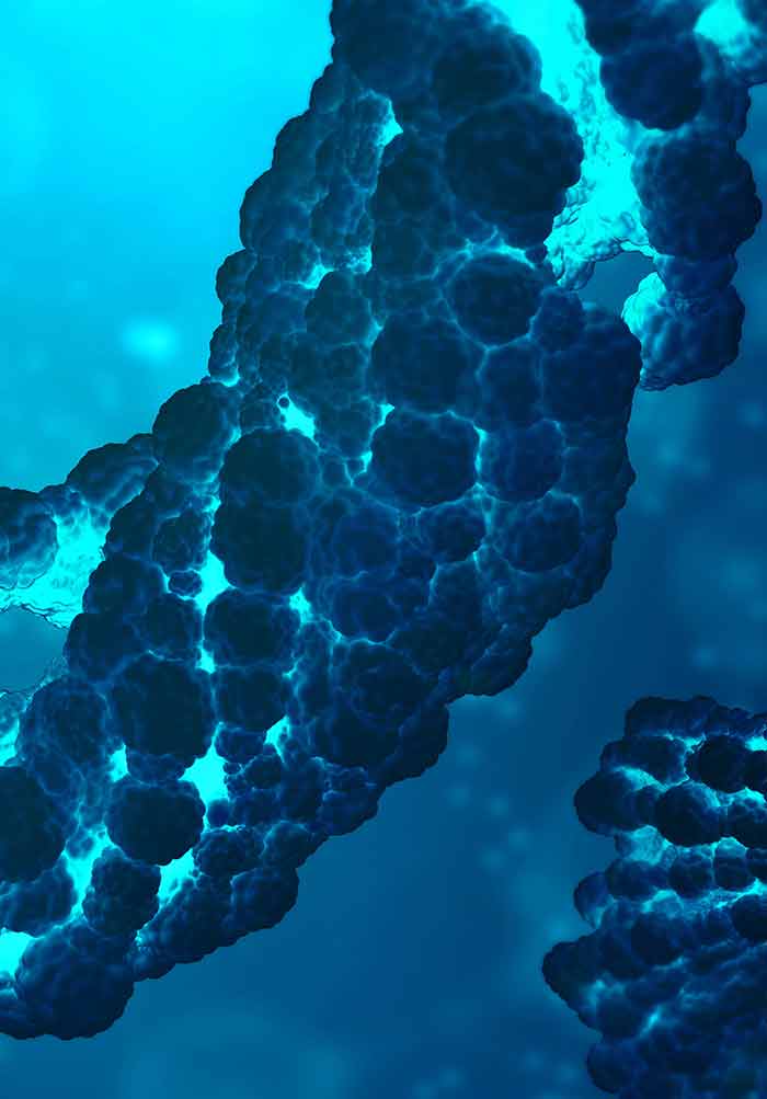 Integrated Histomolecular Diagnosis in Mediastinal Gray Zone Lymphomas ...