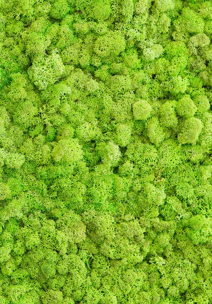 Advances in Molecular Marker Technology and their Significance in Plant ...