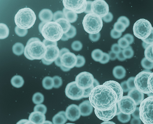 Dermatological Oncology | IntechOpen