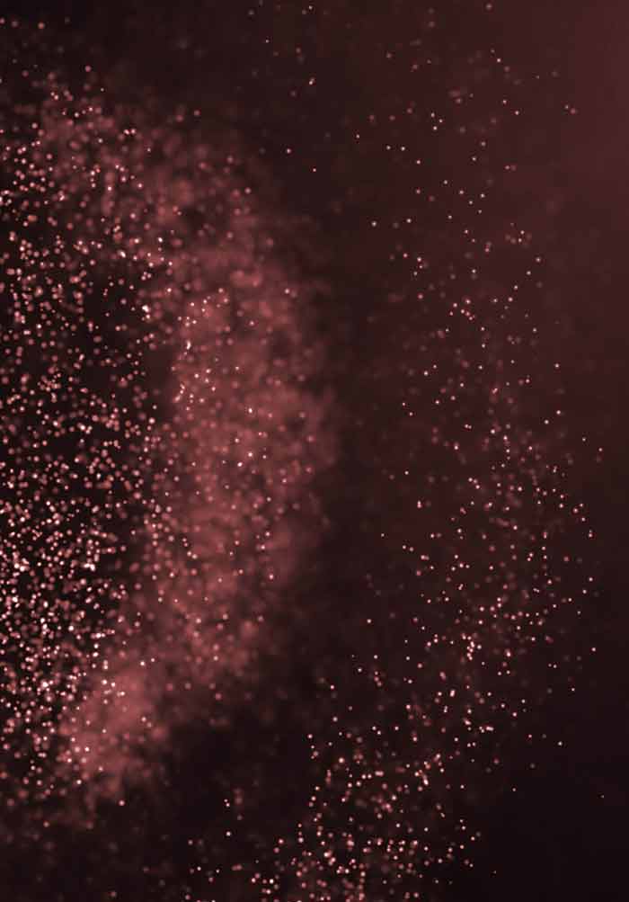 Correction to: 3D-Bioprinting for Lung and Tracheal Bioengineering: An ...