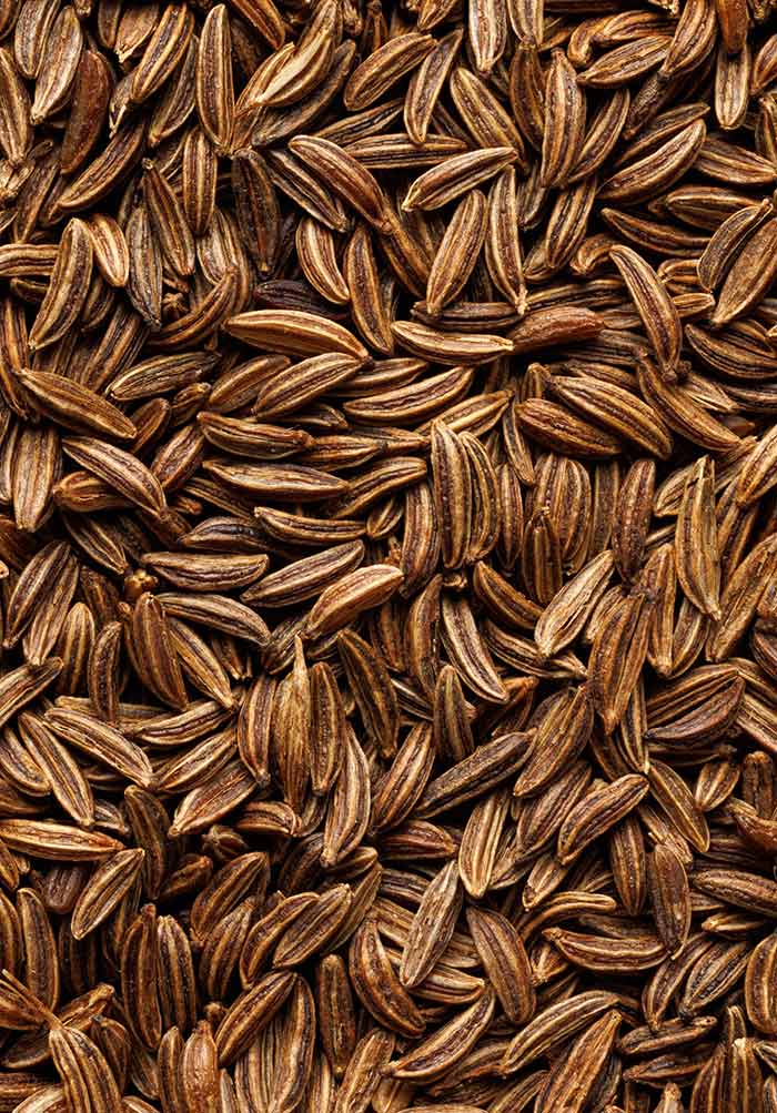 Seed Biology and Nutraceutical Features | IntechOpen