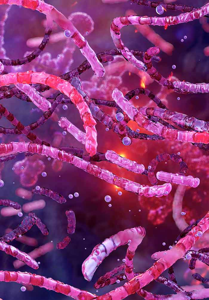 Innovative Research in the Field of Zoonoses | IntechOpen